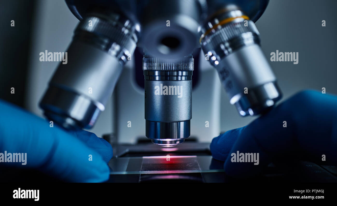 Scientist hands with microscope Stock Photo - Alamy