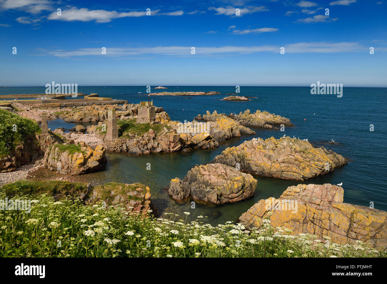 Rock islands at Boddam Harbour North Sea with orange lichen and Queen ...