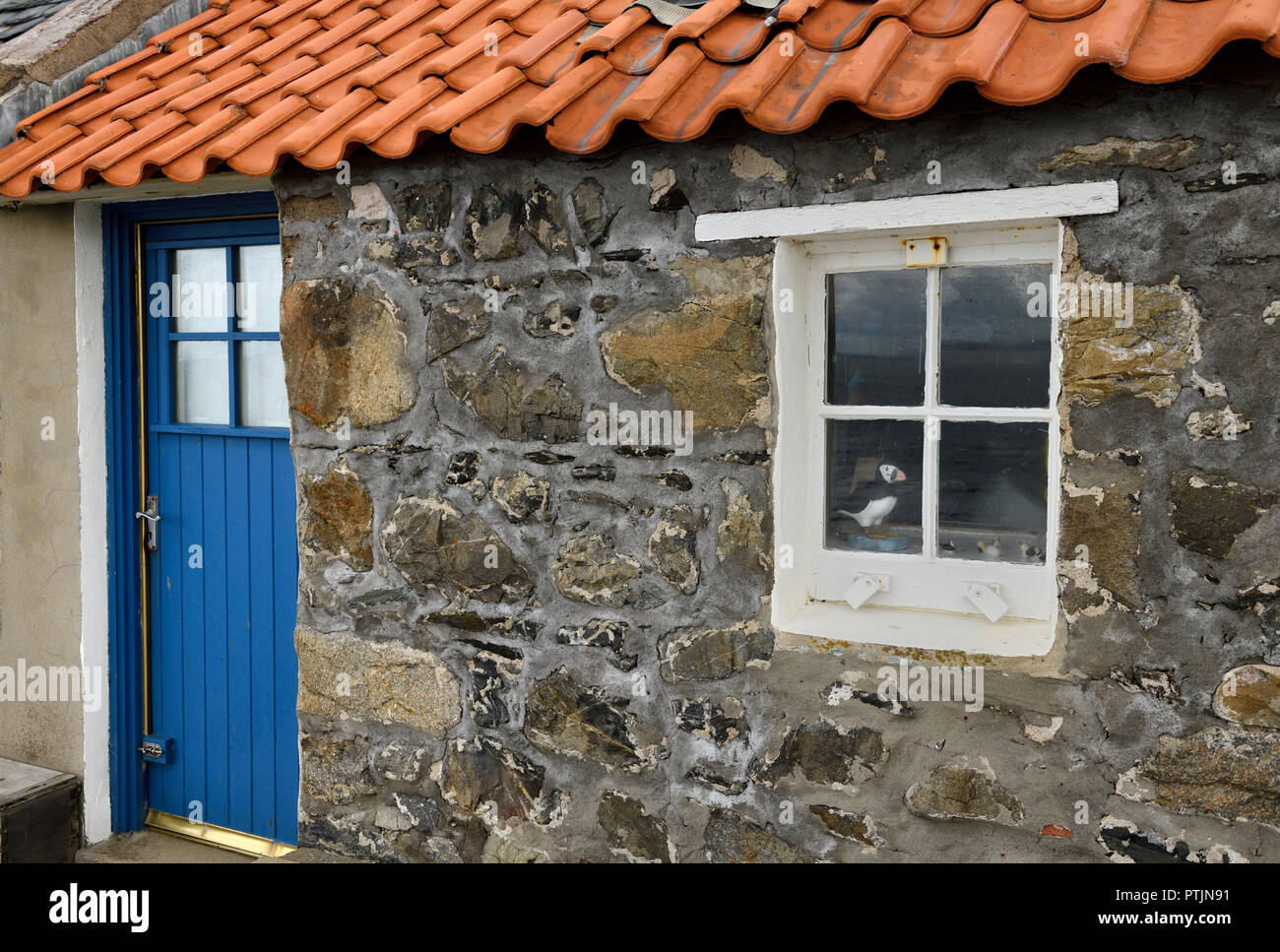Stone house with blue door and puffin in window in coastal fishing ...
