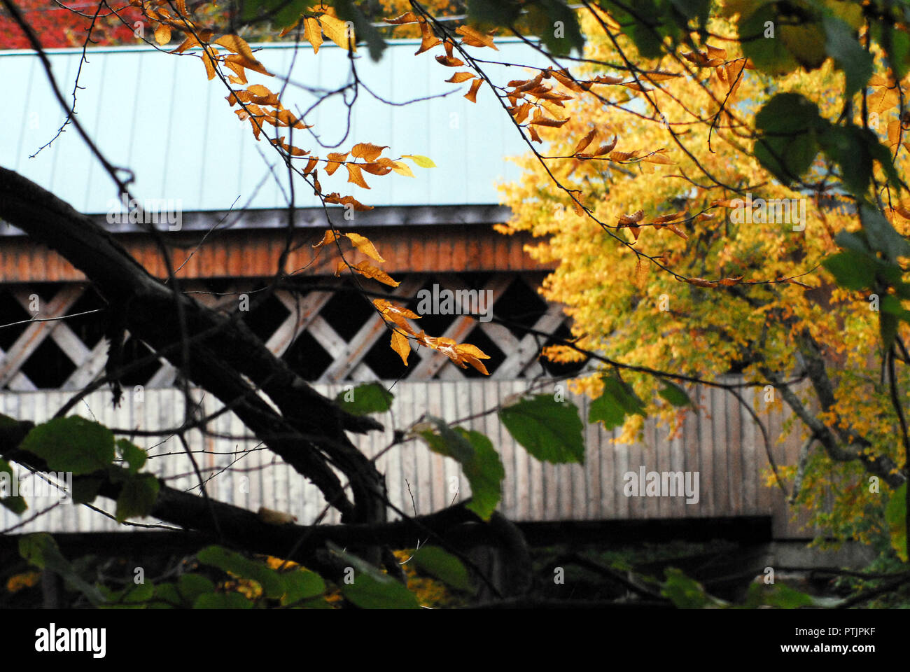 Covered bridge fall foliage hi-res stock photography and images - Alamy