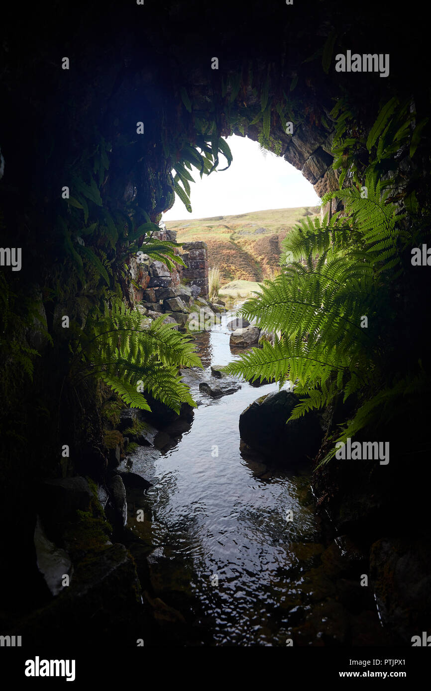 Mining shaft hi-res stock photography and images - Alamy