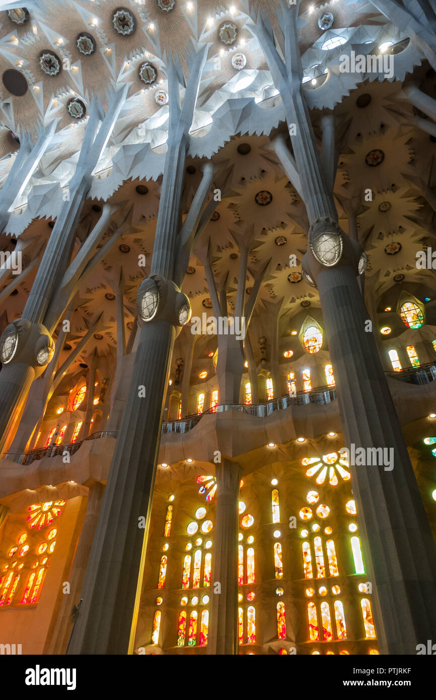 Gaudi's unique, tree-like branching column, frame stained-glass windows ...