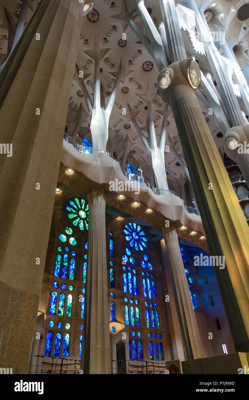 Gaudi's unique, tree-like branching column, frame stained-glass windows ...