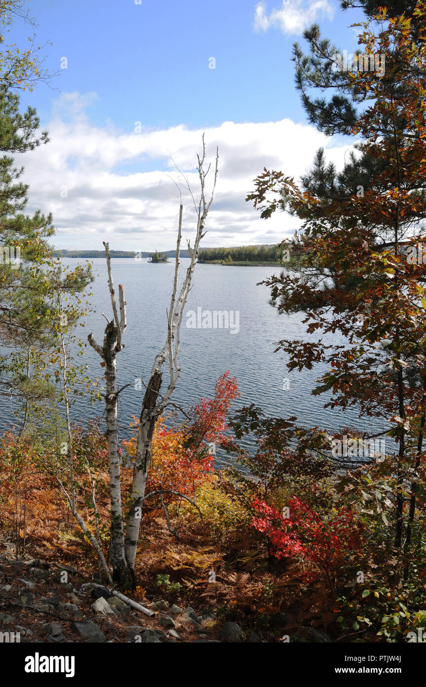 Autumn scenery displaying its multicoloured season Stock Photo - Alamy