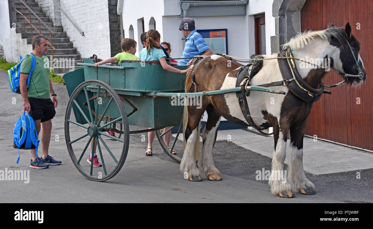 Pony and trap family ride hi-res stock photography and images - Alamy
