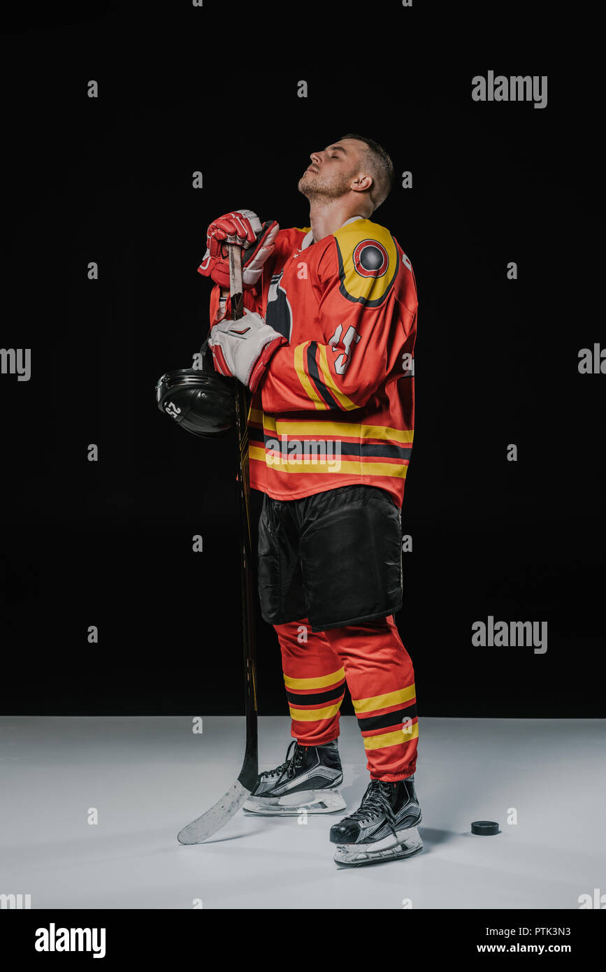 Professional hockey hi-res stock photography and images - Alamy