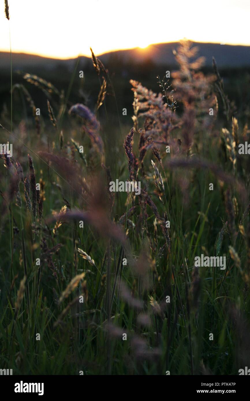 Shade of sunset colours hi-res stock photography and images - Alamy