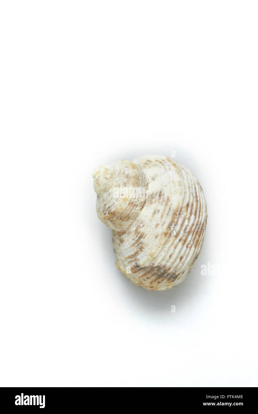 Hand on water sea Cut Out Stock Images & Pictures - Alamy