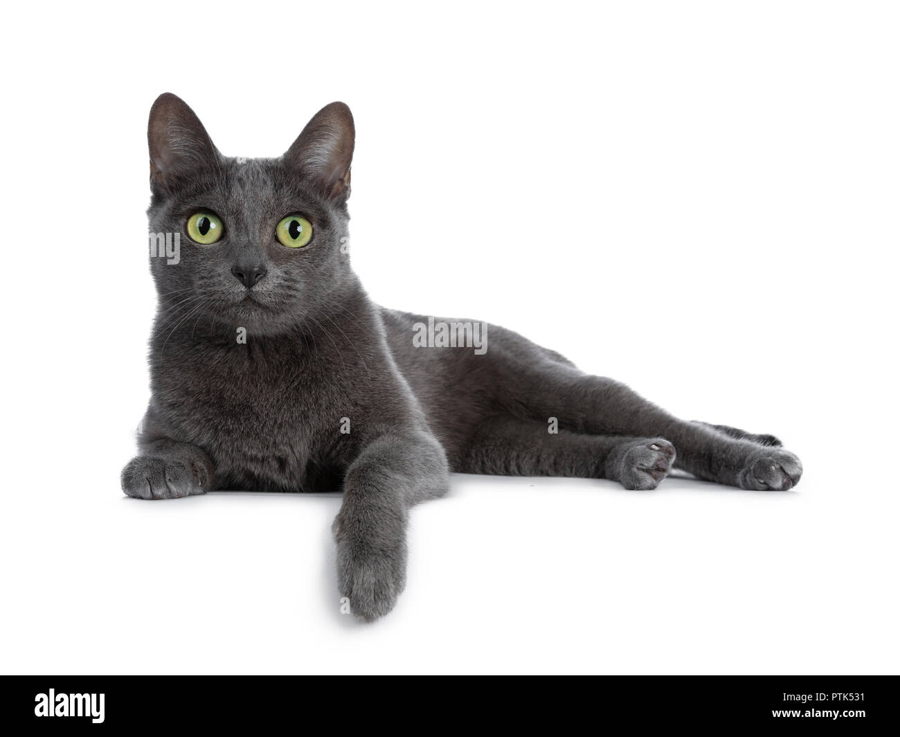 Round tipped Cut Out Stock Images & Pictures - Alamy