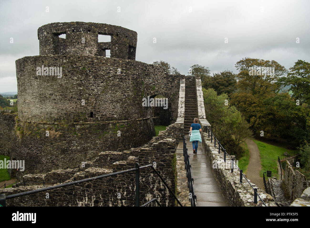A woman walking exploring the Dinefwr castle ruins, Llandelio ...