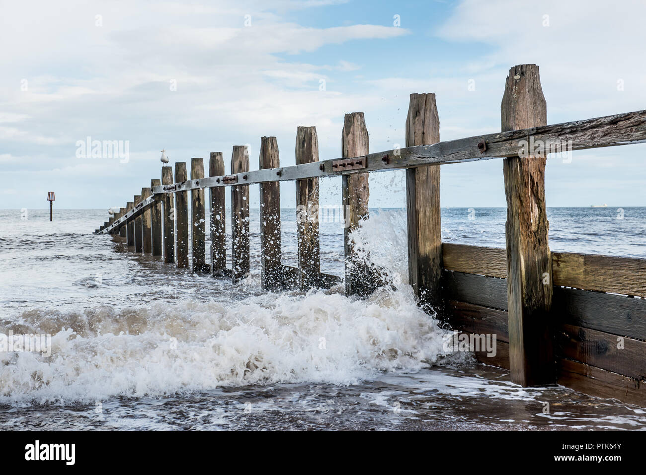 Dawlish Warren, Devon Stock Photo - Alamy