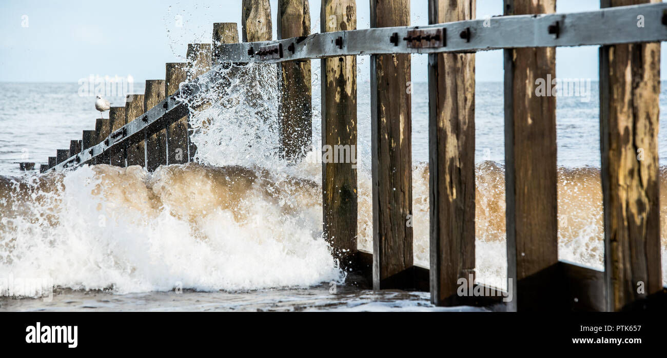 Dawlish Warren, Devon Stock Photo - Alamy