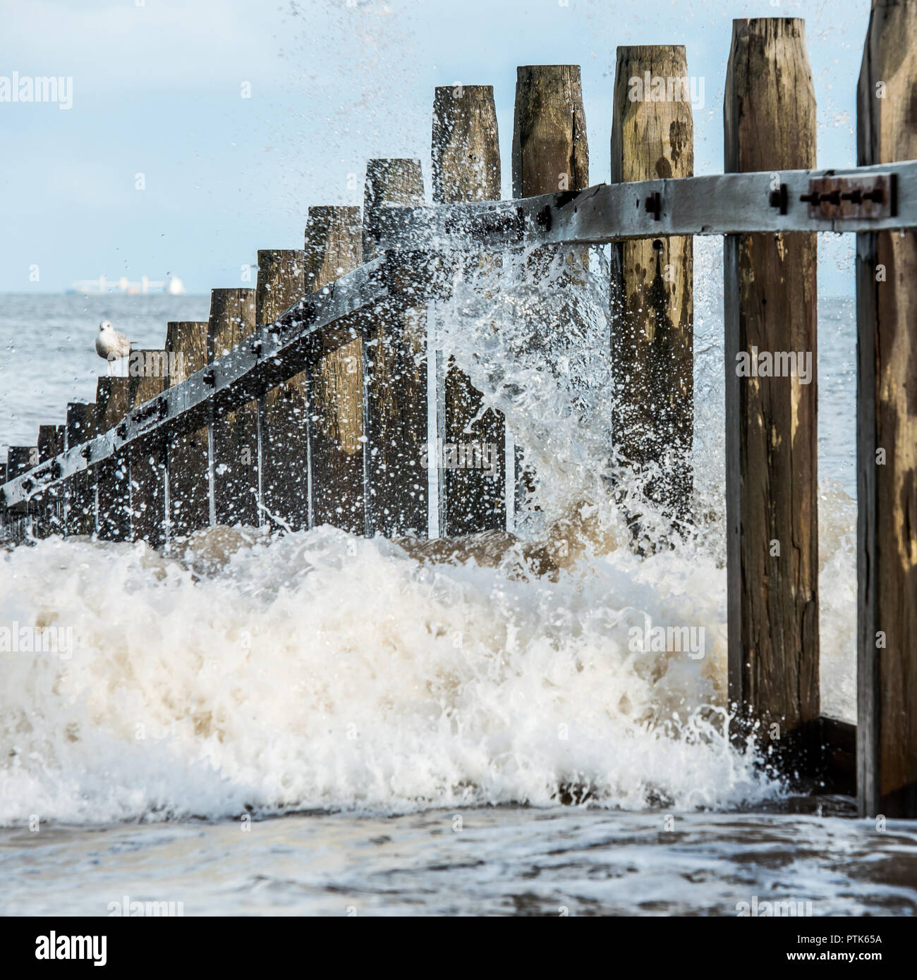 Dawlish warren beach groyne hi-res stock photography and images - Alamy