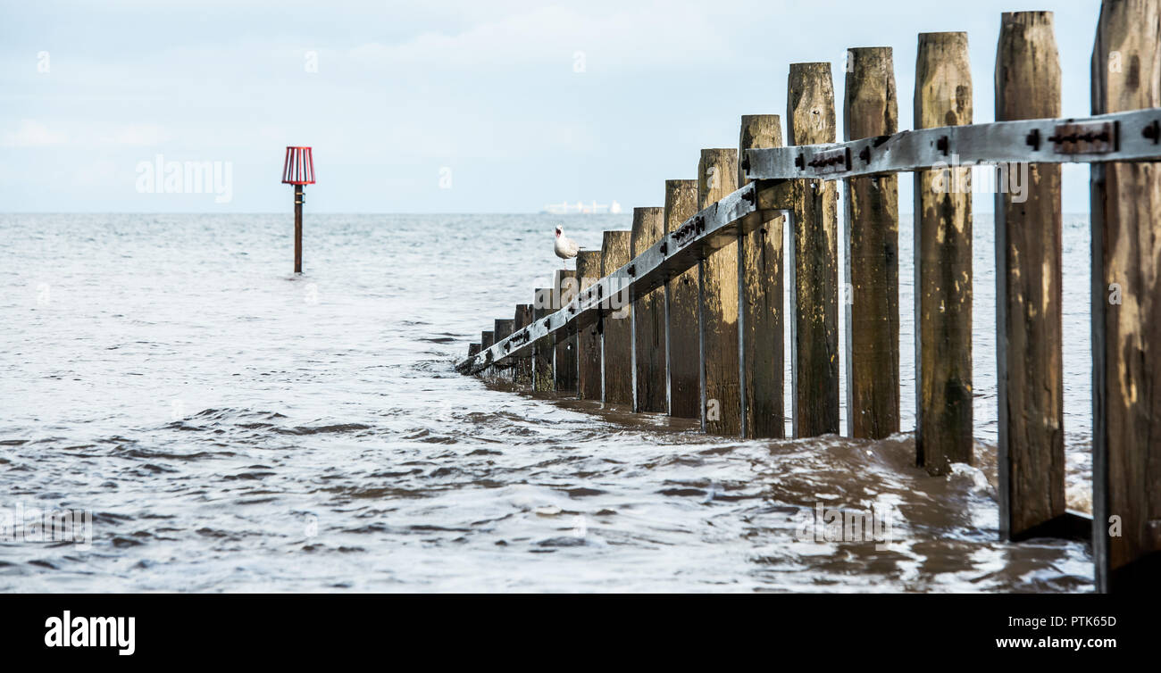 Dawlish Warren, Devon Stock Photo - Alamy