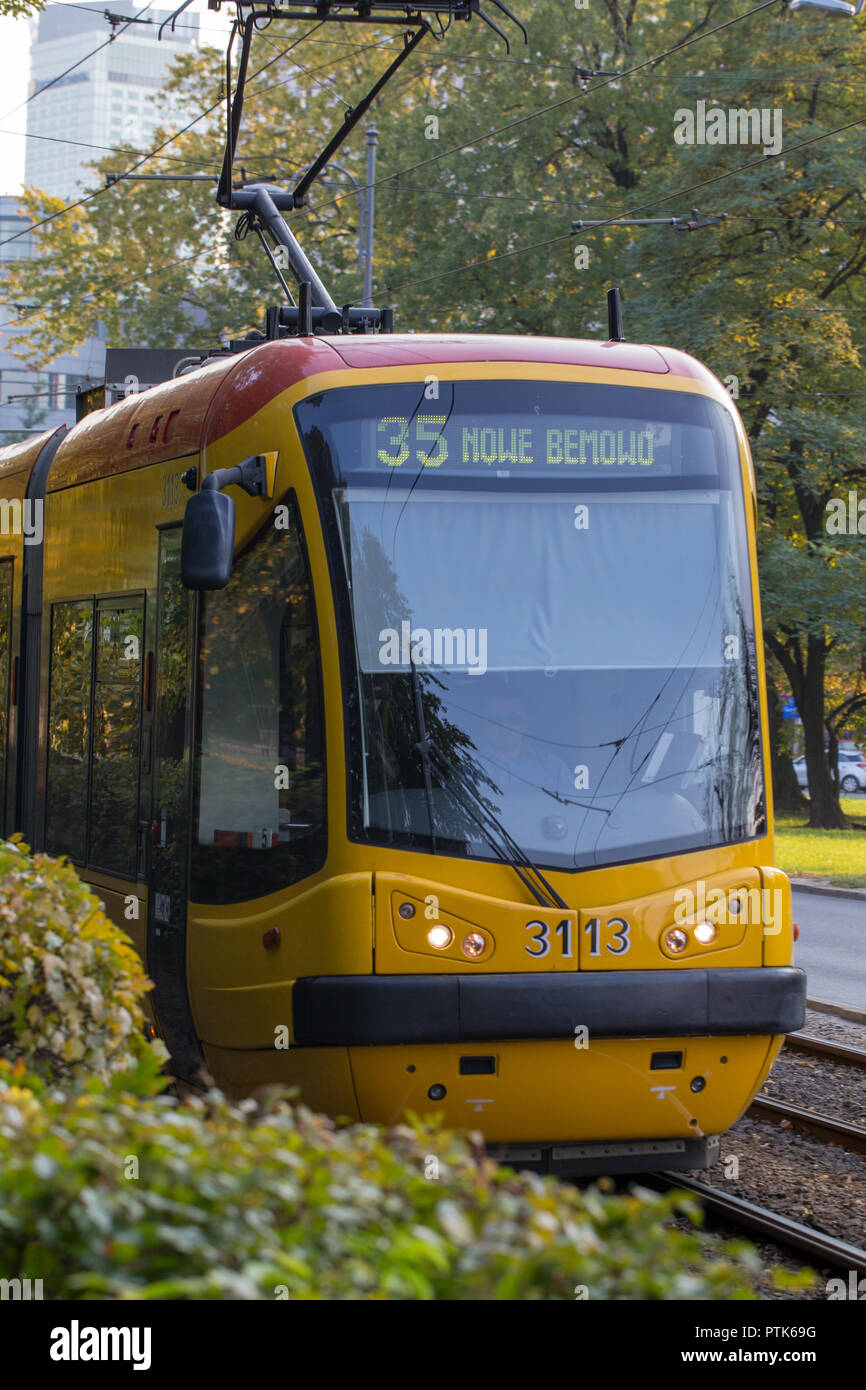 Pesa tramicus hi-res stock photography and images - Alamy