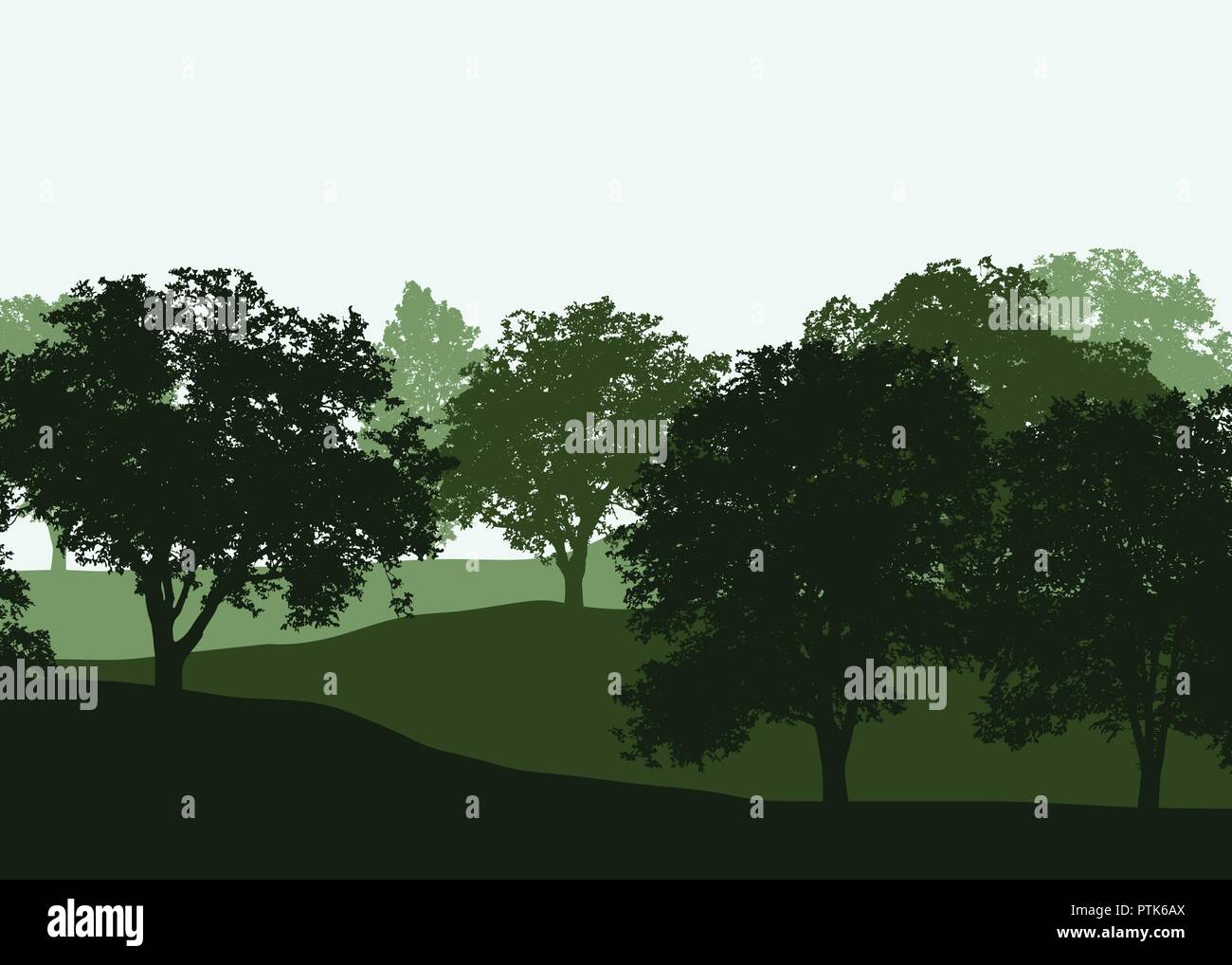 A row of deciduous trees in a green forest in three layers under a ...