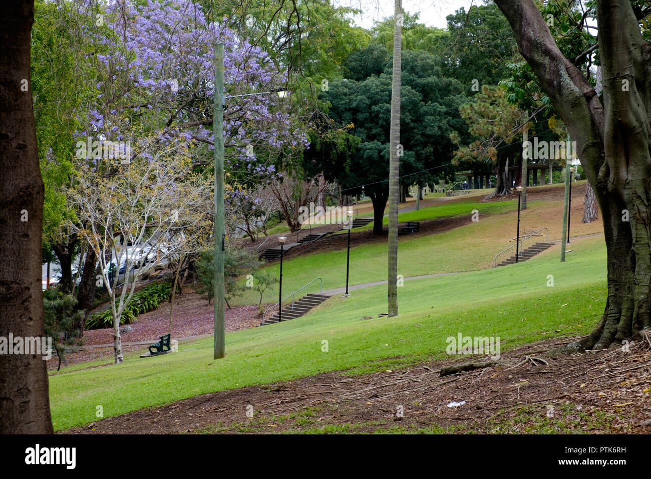 Wickham park hi-res stock photography and images - Alamy