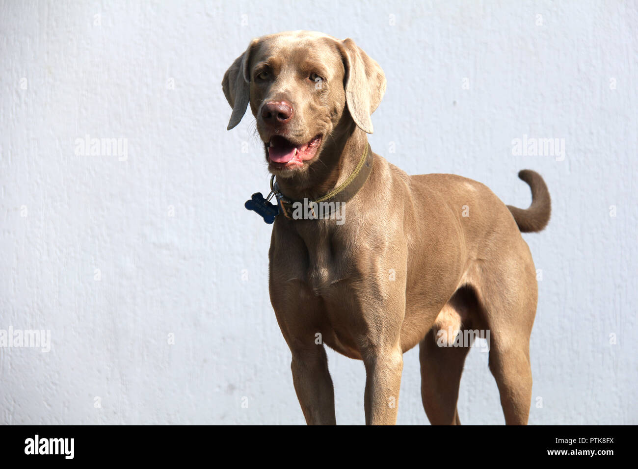 tired of playing Stock Photo - Alamy