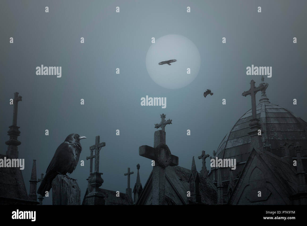 Gothic graveyard raven hi-res stock photography and images - Alamy