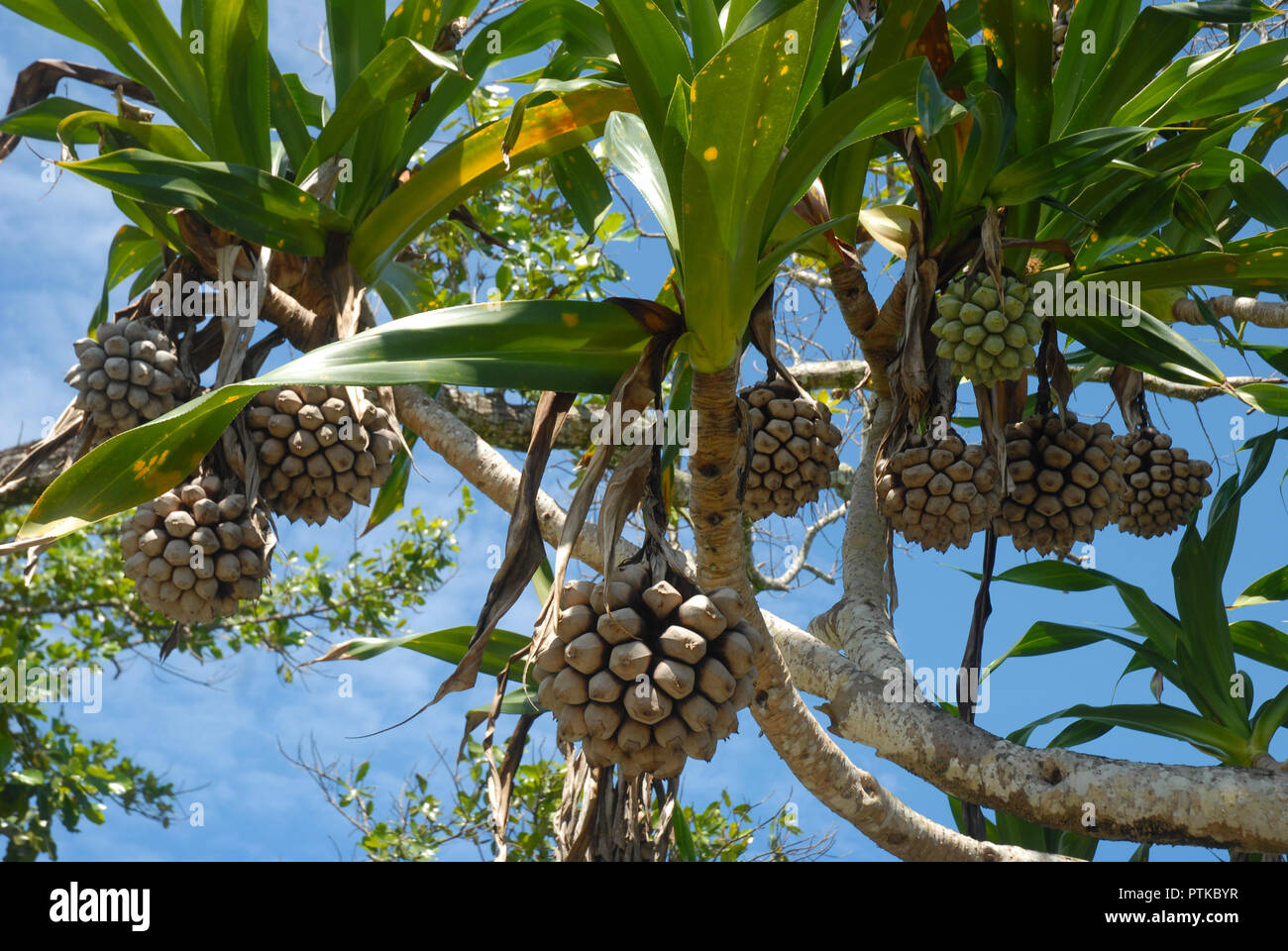Tusbab Beach, Madang, Papua New Guinea Stock Photo - Alamy