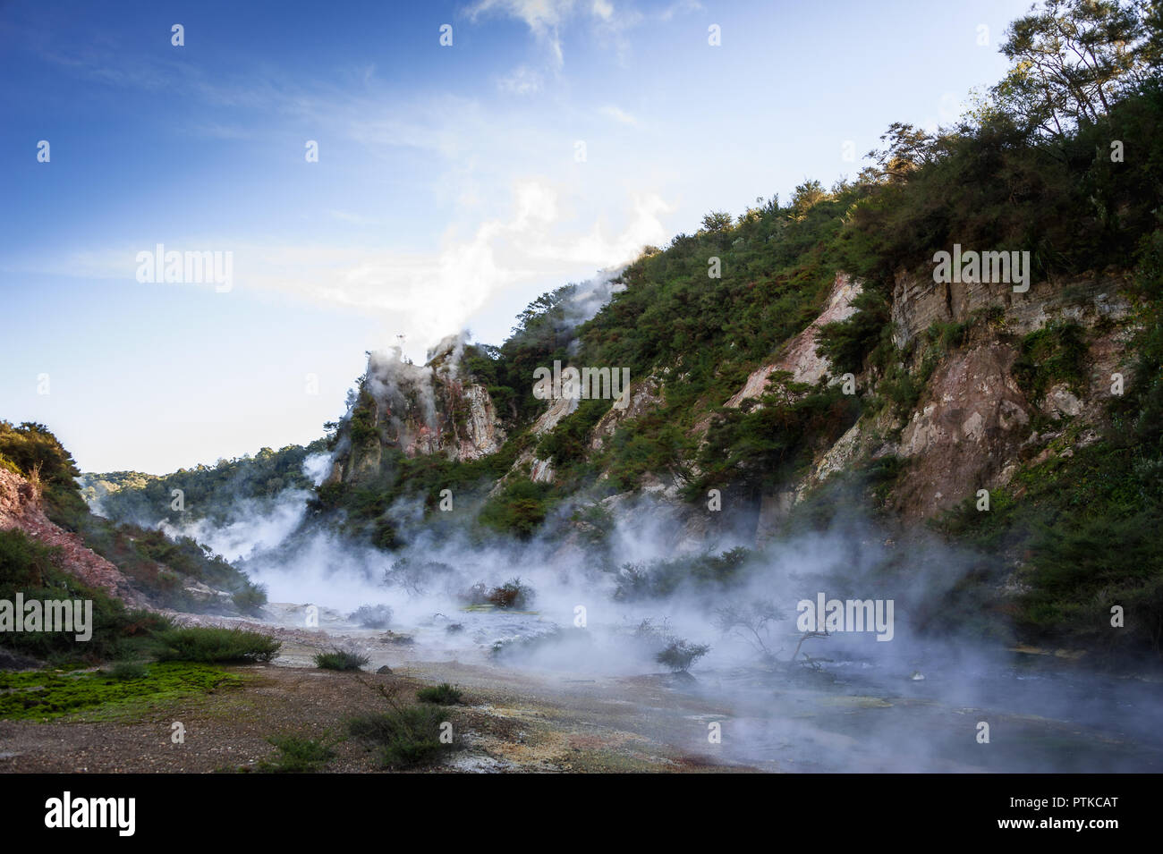 Frying Pan Lake, Waimangu Volcanic Valley, New Zealand. Steam rising ...