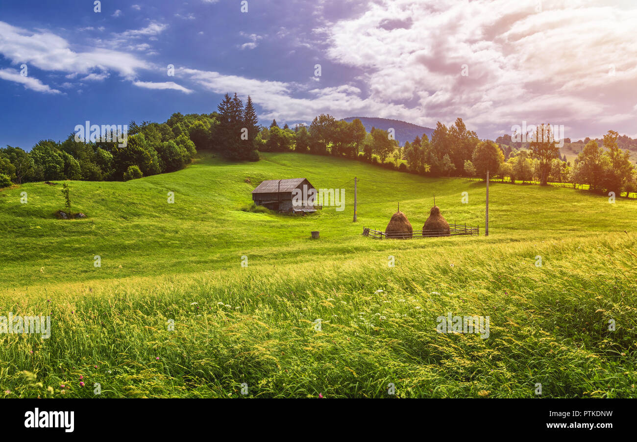 Traditional management of mountain pastures in the Maramures region ...