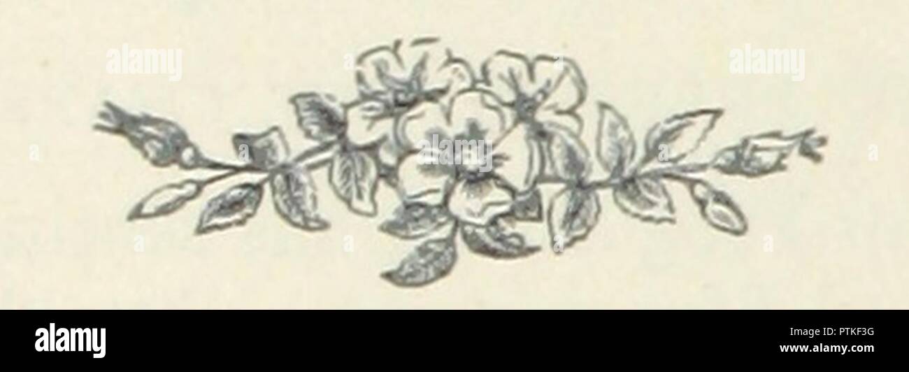 page 36 of 'Leach's Handbook to Tenby and district . Illustrations and ...