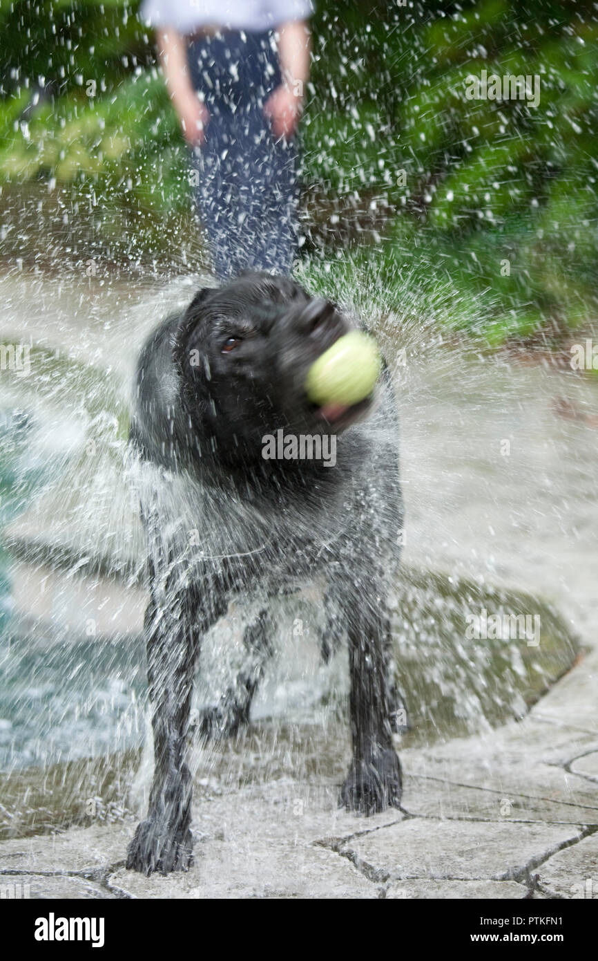 Shaking head blur hi-res stock photography and images - Alamy