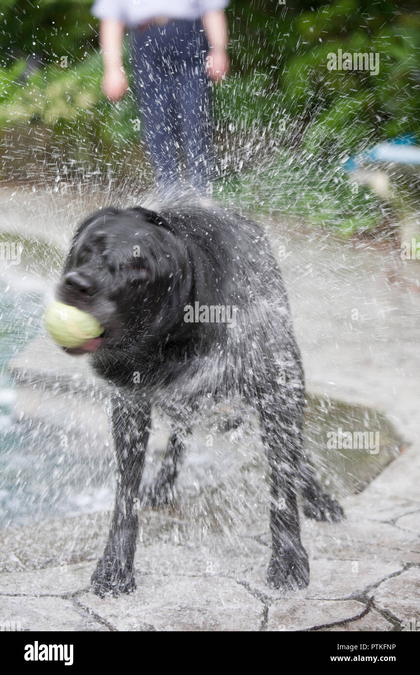 Shaking Head Blur High Resolution Stock Photography and Images - Alamy