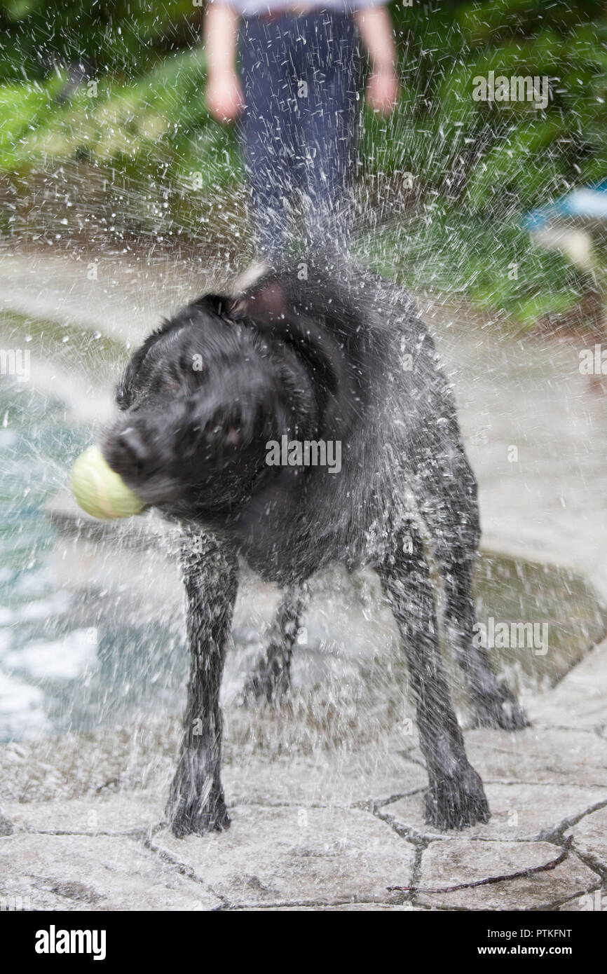 Shaking Head Blur High Resolution Stock Photography and Images - Alamy