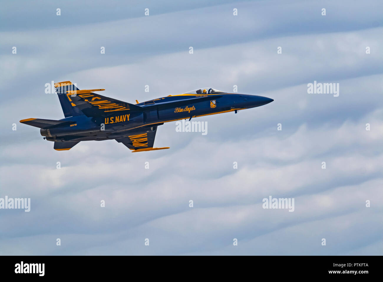 Blue Angels F-18 Hornet jet fighter Stock Photo - Alamy