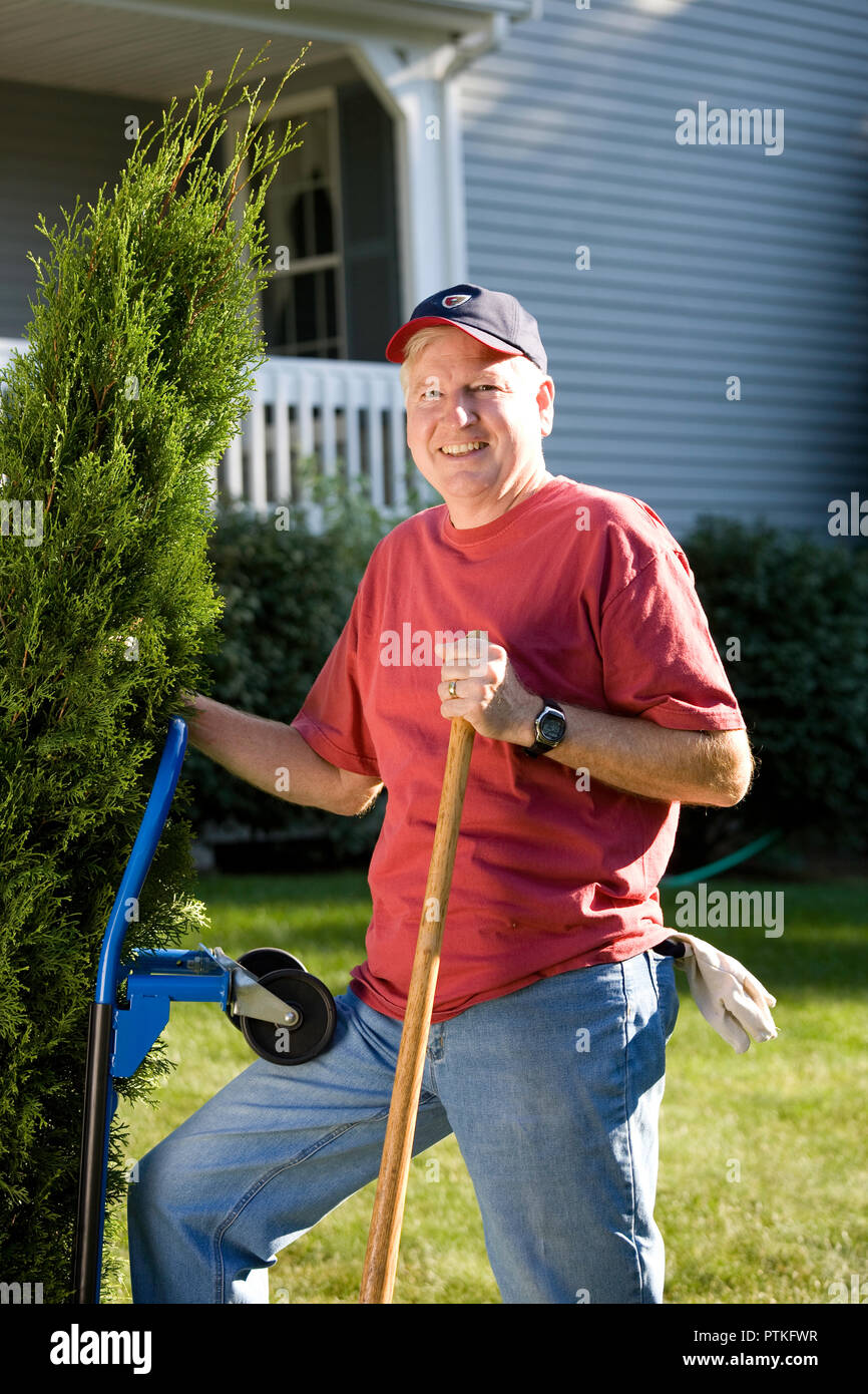 Mature man planting a tree in his yard, USA Stock Photo - Alamy