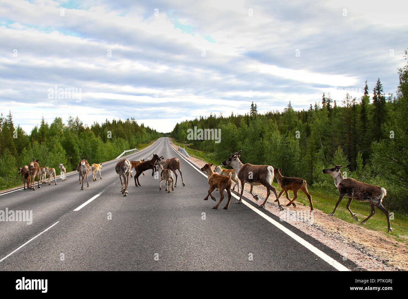 Fearless family hi-res stock photography and images - Alamy