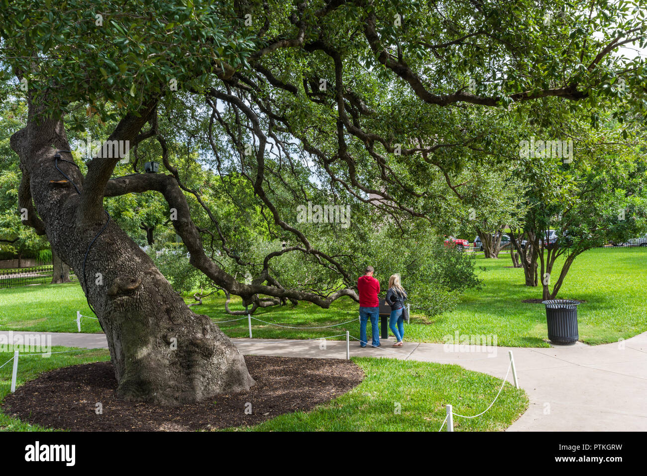 Texas' Capitol Building Complex in Austin, Texas Stock Photo - Alamy