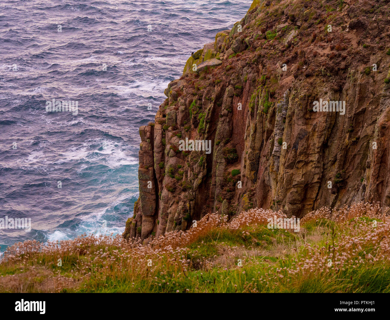 Famous cliffs at the coastline of Lands End Cornwall Stock Photo - Alamy