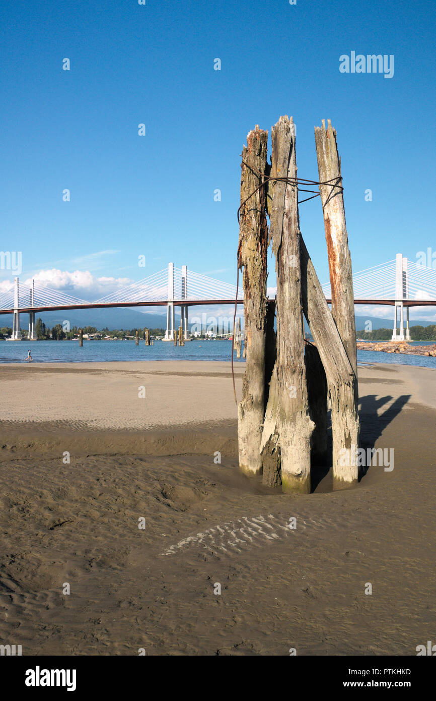 Golden ears bridge surrey british columbia hi-res stock photography and ...
