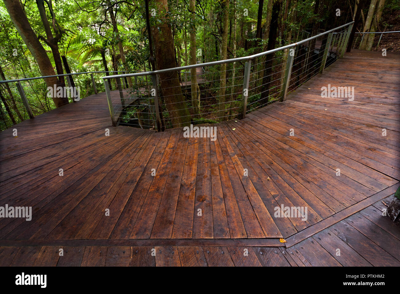 Canopy walkway nature trail hi-res stock photography and images - Alamy