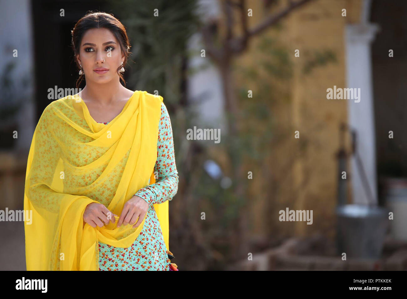 Mehwish Hayat Wedding Pics