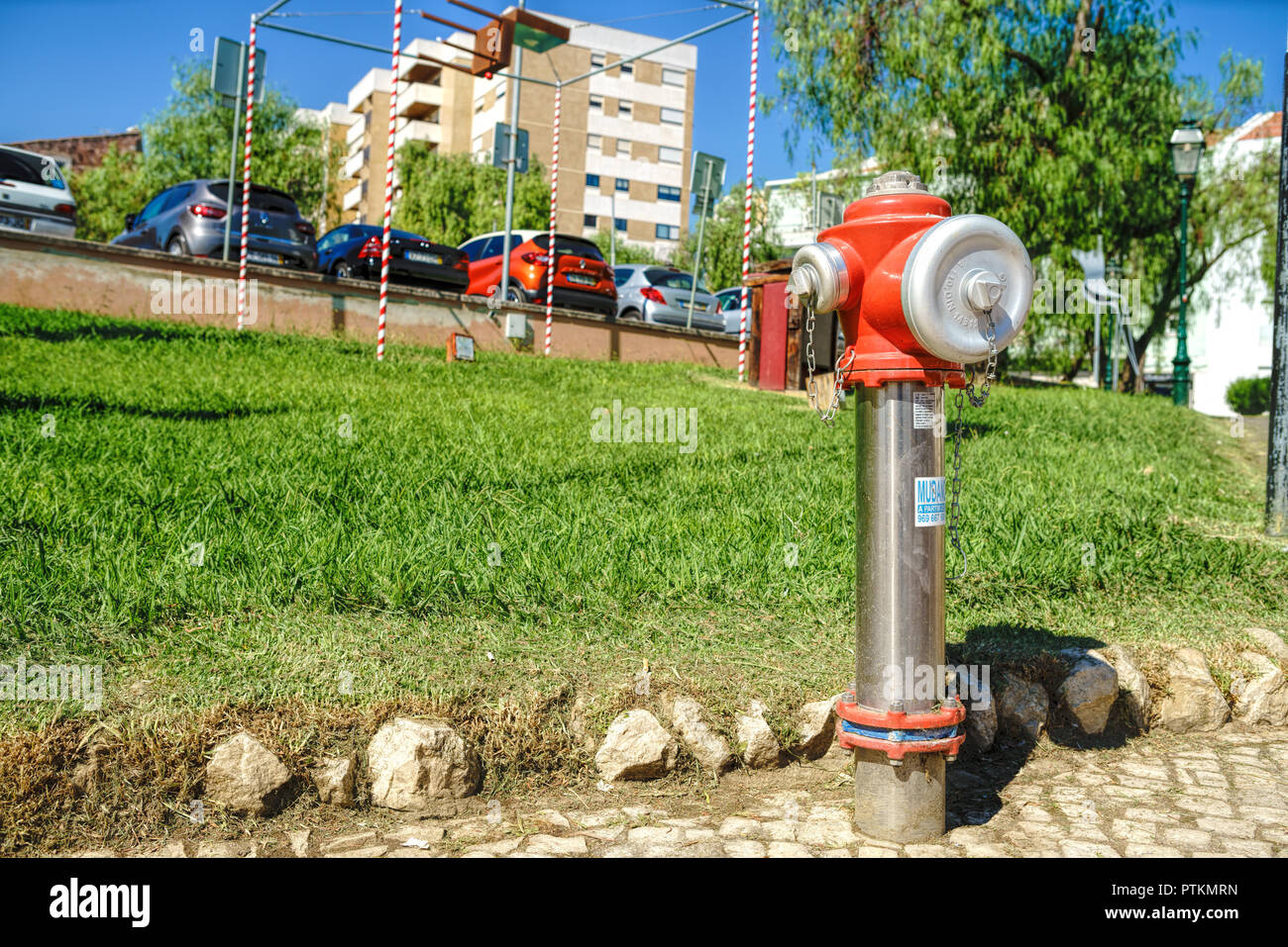 Green fire hydrant hi-res stock photography and images - Alamy