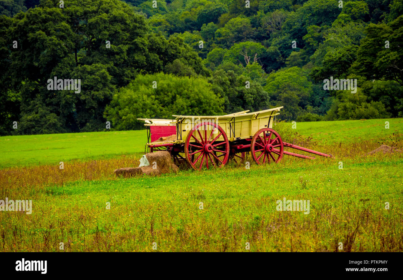 Old Carriage on a field Stock Photo - Alamy