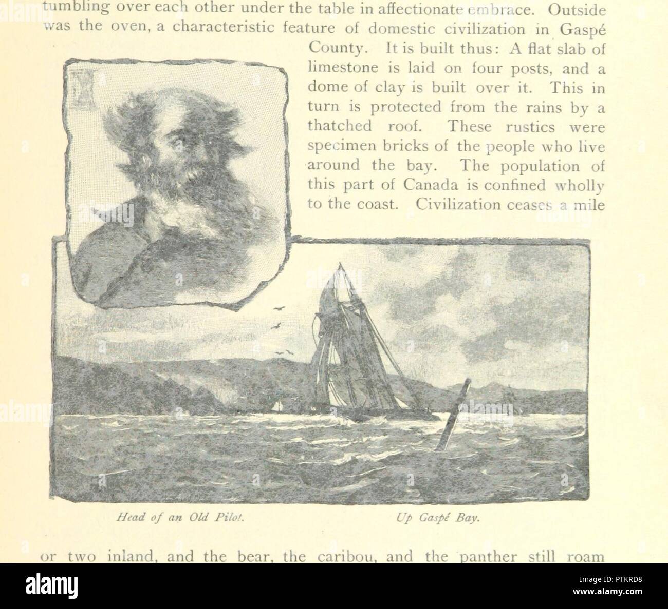 page 45 of 'The Cruise of the Alice May in the Gulf of St. Lawrence and ...