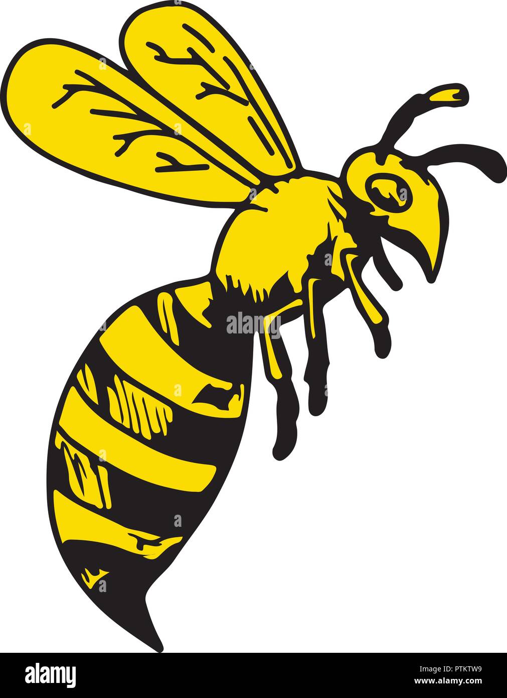 Drawing sketch style illustration of a yellowjacket wasp or hornet ...