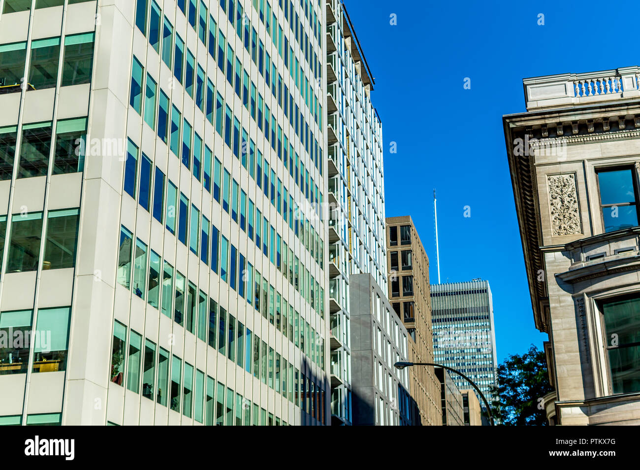 Modern condo / business buildings with huge windows in Montreal ...