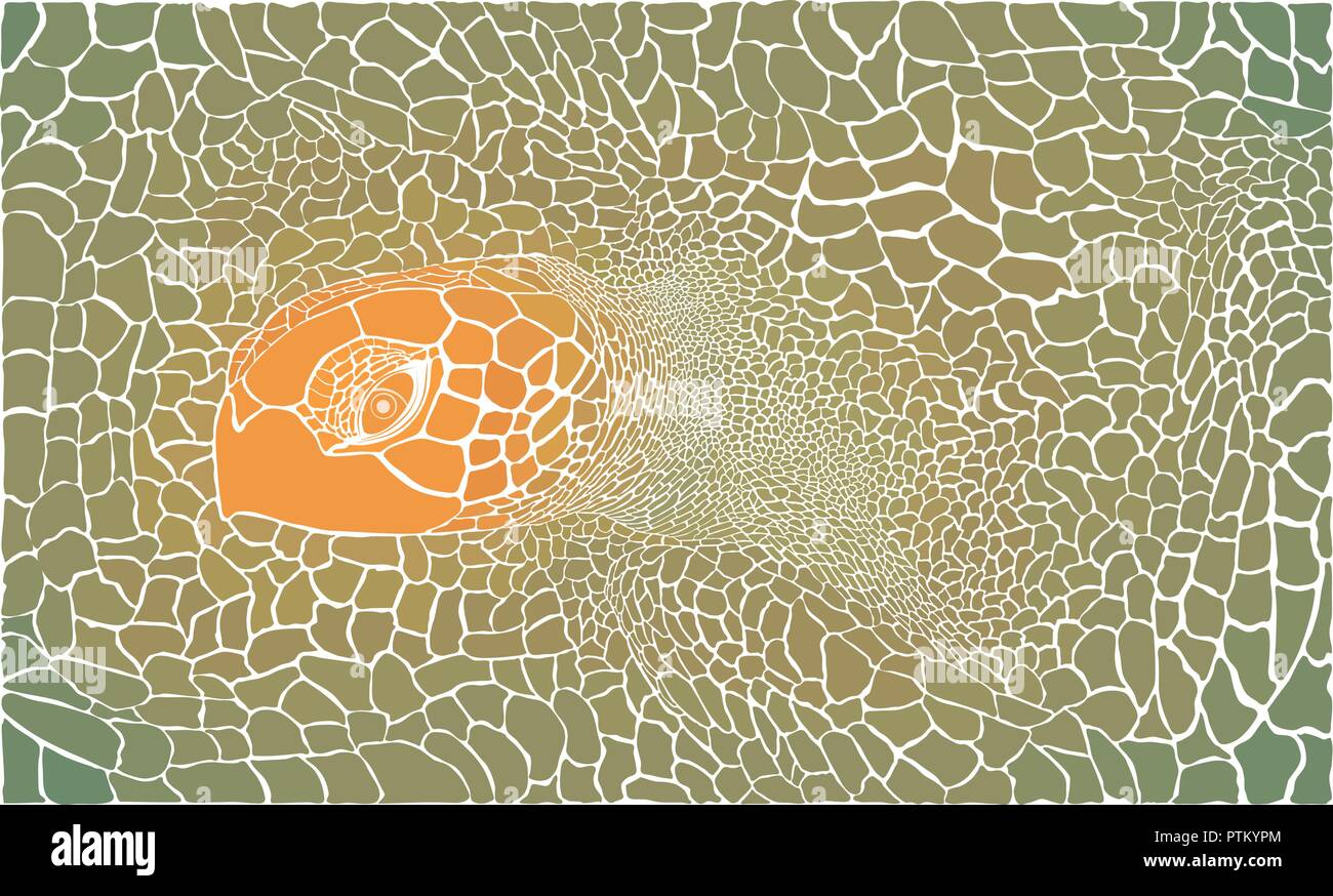 Wild sea turtle in Stock Vector Images - Alamy