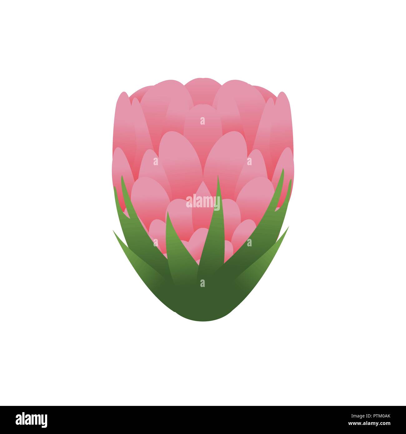Simple plant vector vectors Stock Vector Images - Alamy