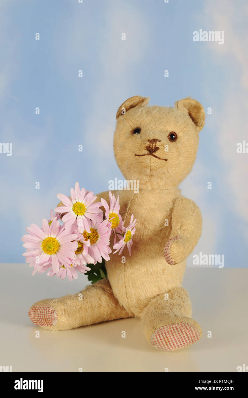Old fashioned teddy bear hi-res stock photography and images - Alamy