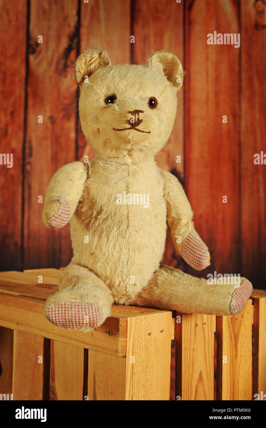 Old teddy bear hi-res stock photography and images - Alamy
