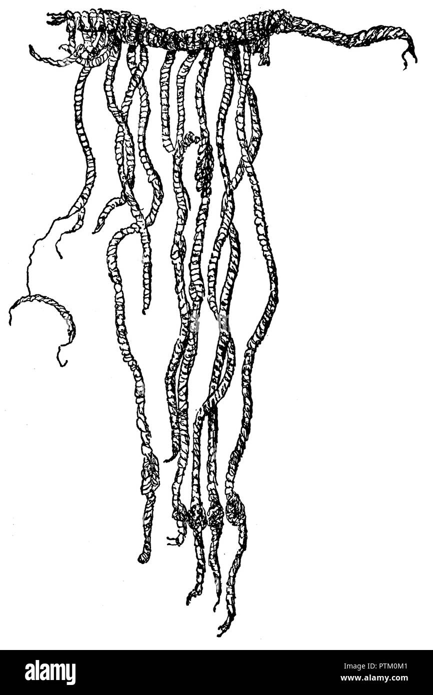 Quipu hi-res stock photography and images - Alamy