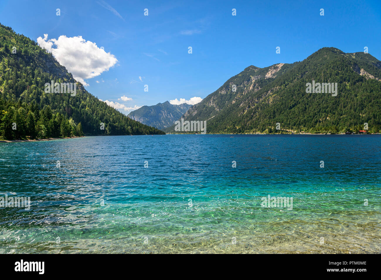 Lakee Plansee, view from east shore, shore, turquoise water, mountain ...