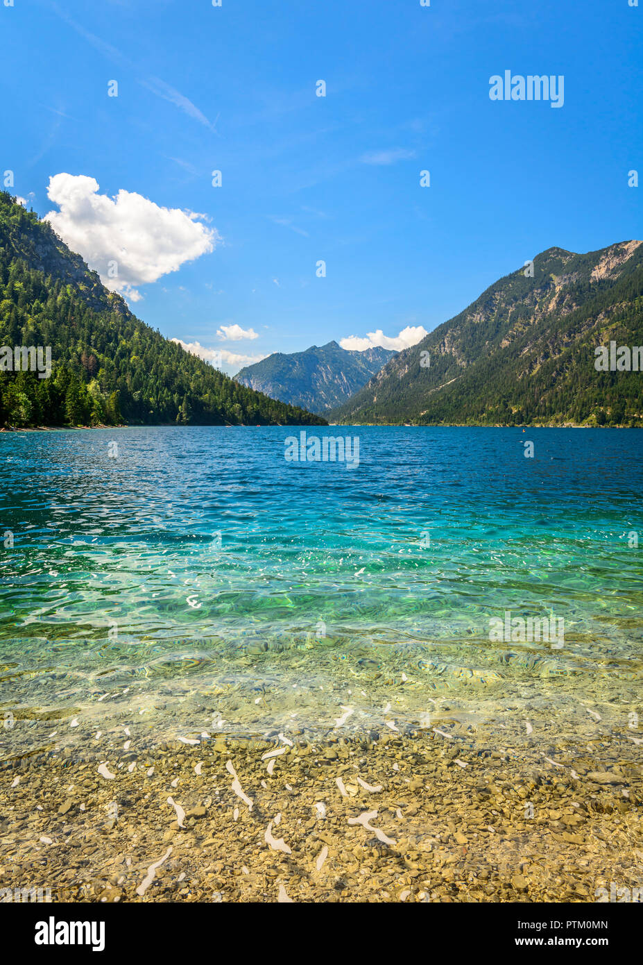 Lakee Plansee, view from east shore, shore, turquoise water, mountain ...
